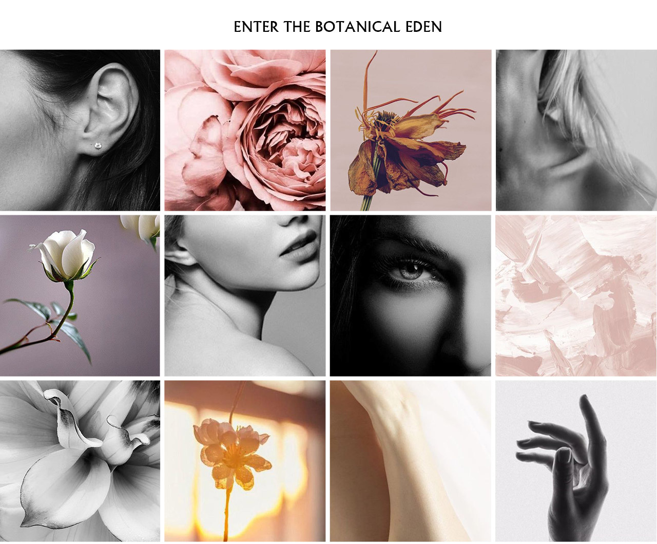 Rene De Fleur蕊蕾的花園